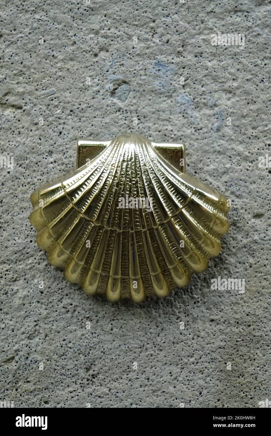 A vertical of golden seashell decoration on a concrete wall in Sarstedt ...