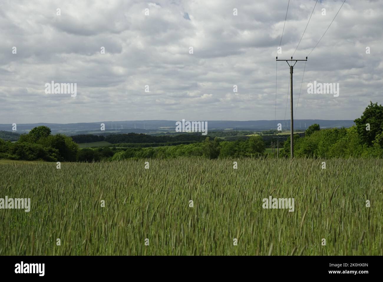 A scenic view of a metallic utility pole in a green field in ...
