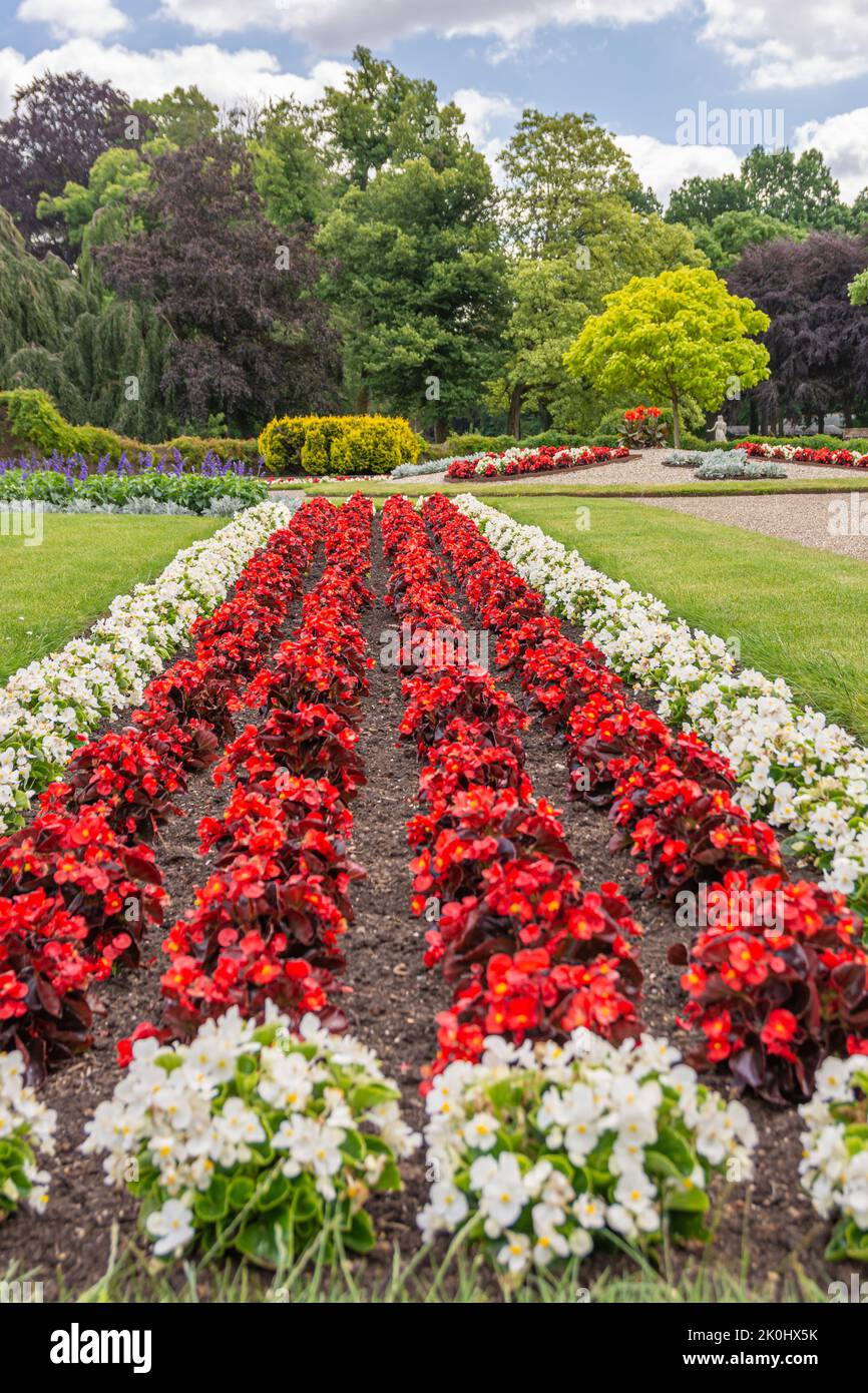 A beautifully designed park with flowers in the sunlight Stock Photo ...