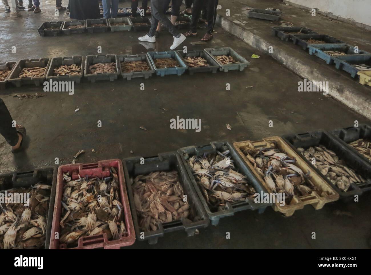 20220912 hi-res stock photography and images - Alamy