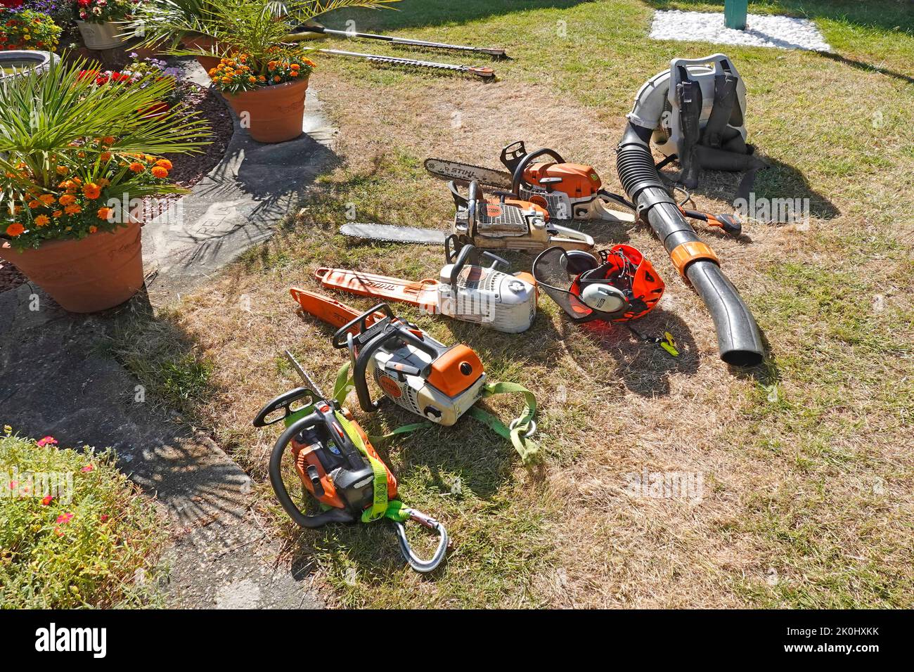 Summer drought damaged domestic back garden grass lawn & selection of ...