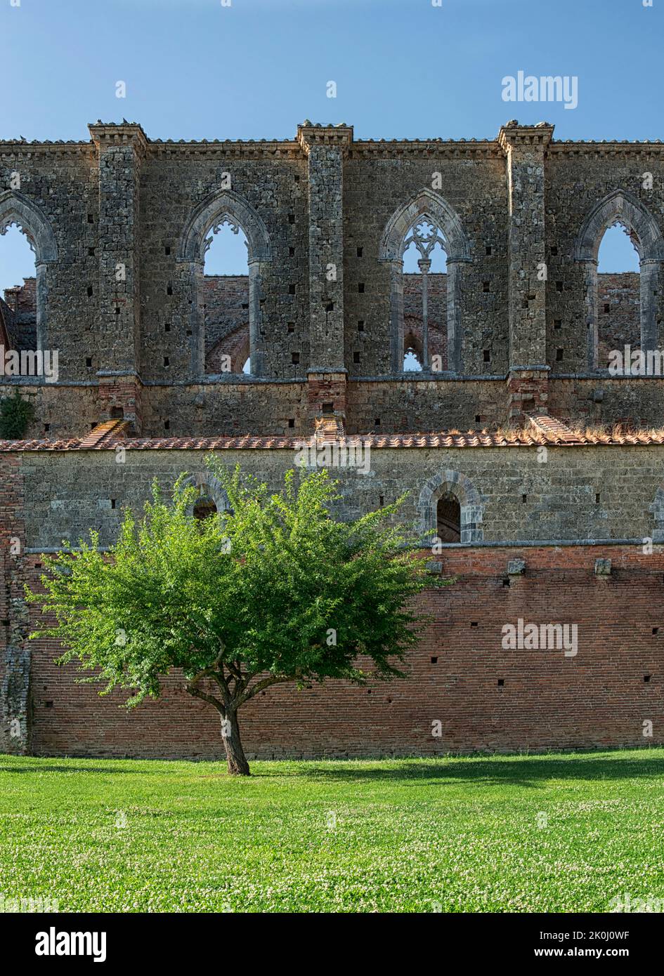 Abbey of San Galgano, Chiusdino, Tuscany, Italy, Europe Stock Photo - Alamy