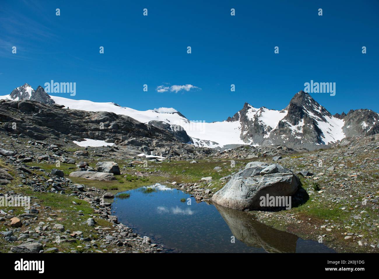 Grand Assaly and Rutor glacier, Alpi Graie,alps, Valle d'Aosta, Italy ...
