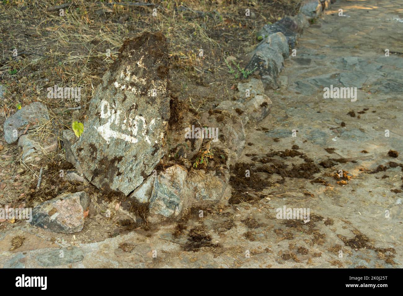 Hippo dung hi-res stock photography and images - Alamy