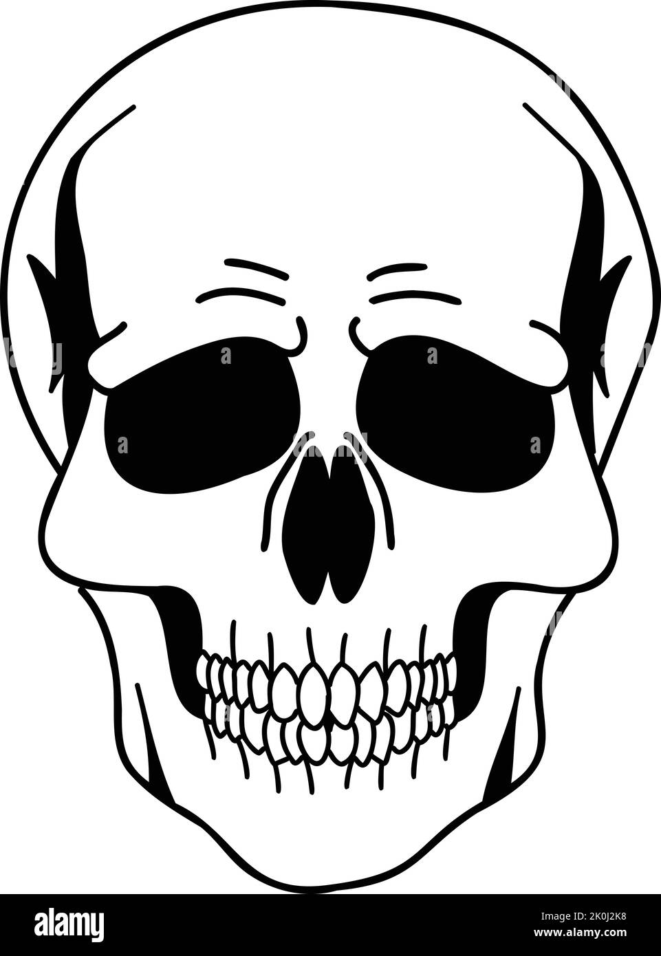 Hand Drawn front skull illustration isolated on background Stock Vector ...