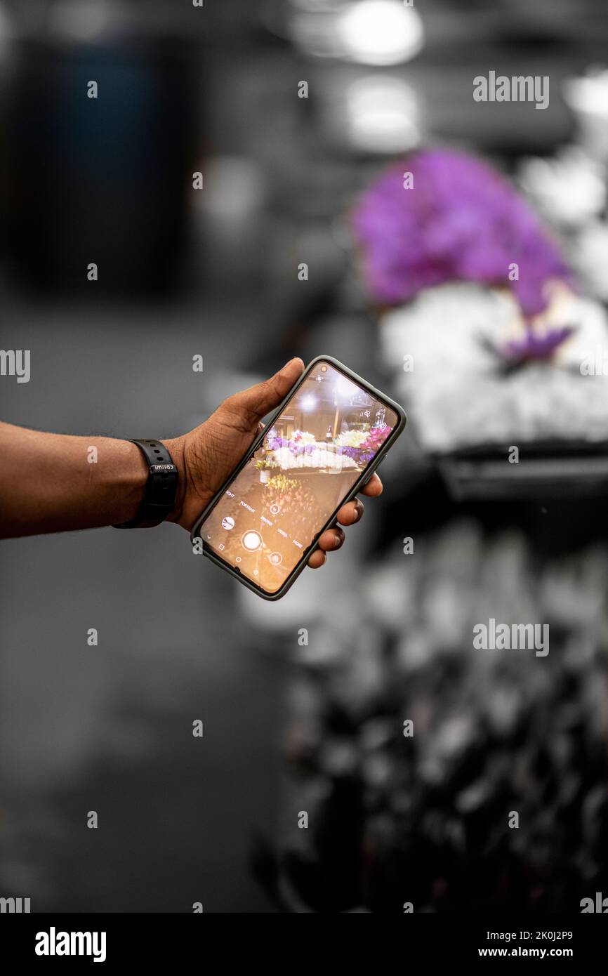 A vertical shot of a hand holding a smartphone taking photos of a ...