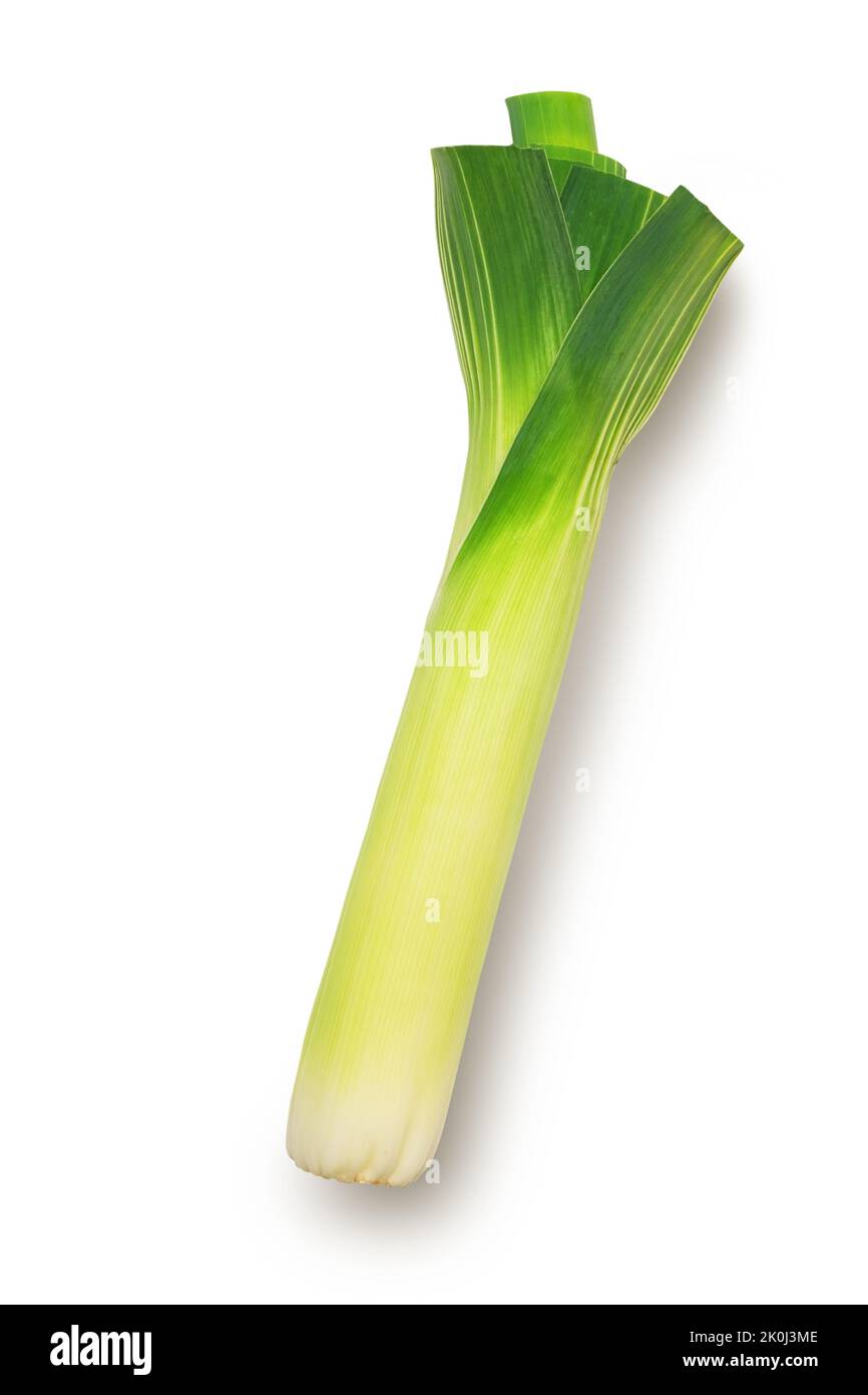 Leek stalk shot from above isolated on white with path Stock Photo - Alamy