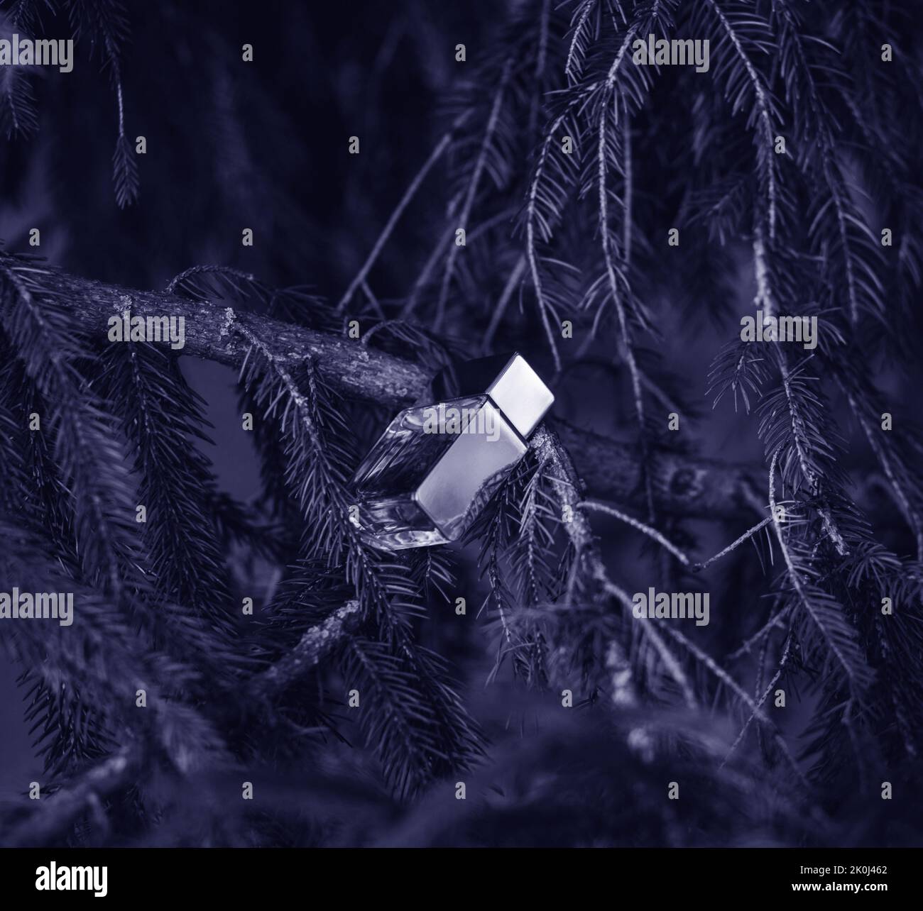 Glass bottle of perfume on a tree in the forest . natural cosmetics for ...