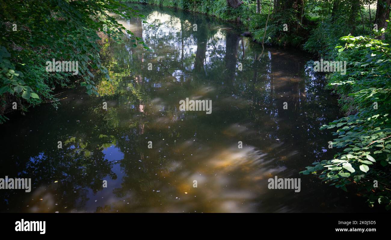 A top view of small dirty stream flowing through lush green plants in ...