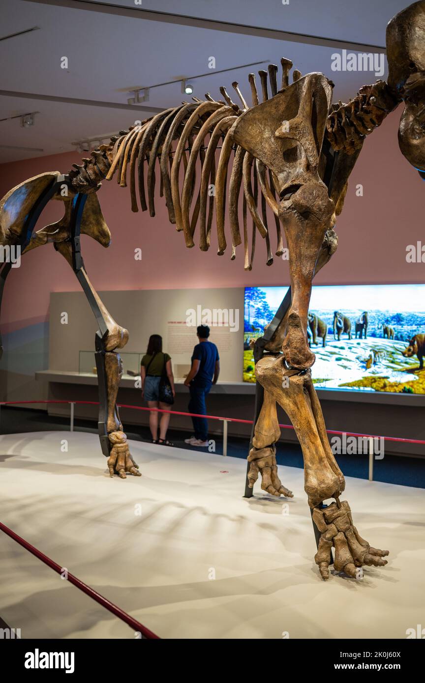 Exhibition 40 years hi-res stock photography and images - Alamy