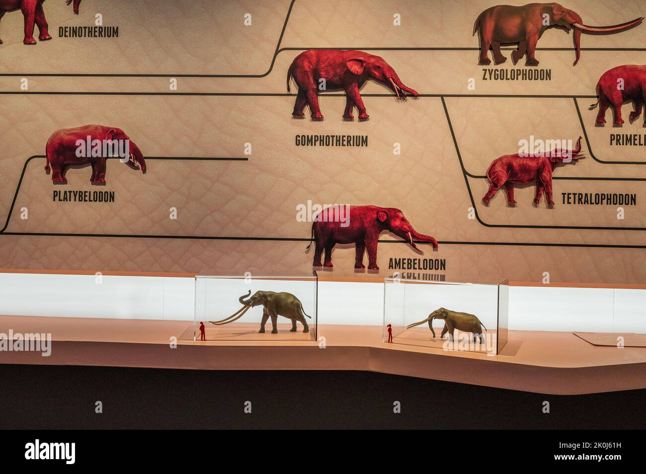 Elephant family graphic representation. "Mamut" exhibition at ...