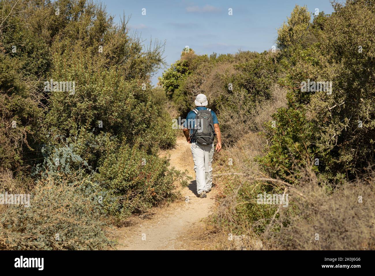 High vegetation hi-res stock photography and images - Alamy