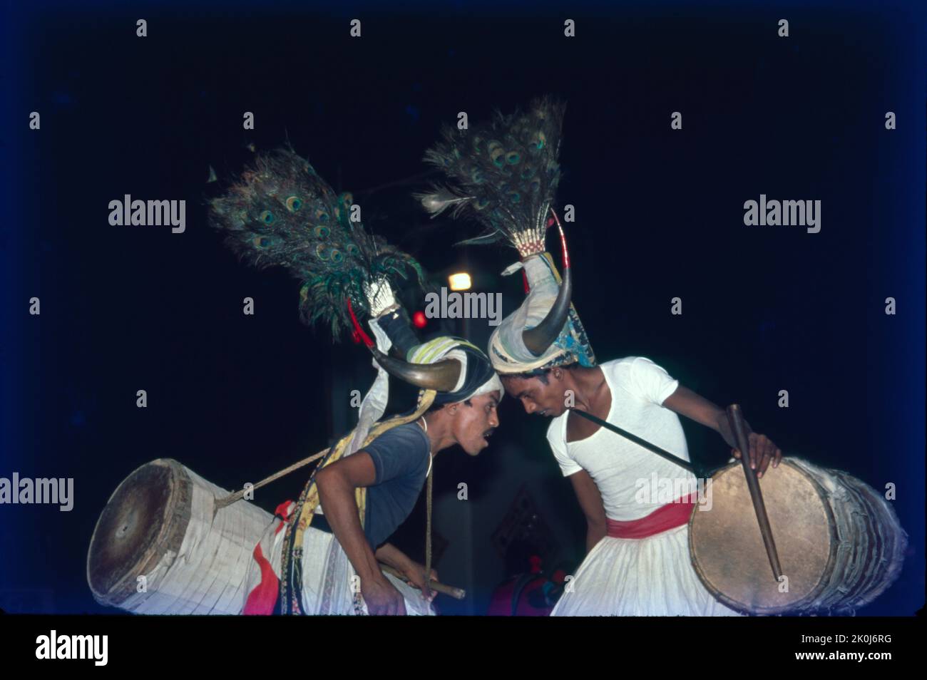 Indian bull fight hi-res stock photography and images - Alamy