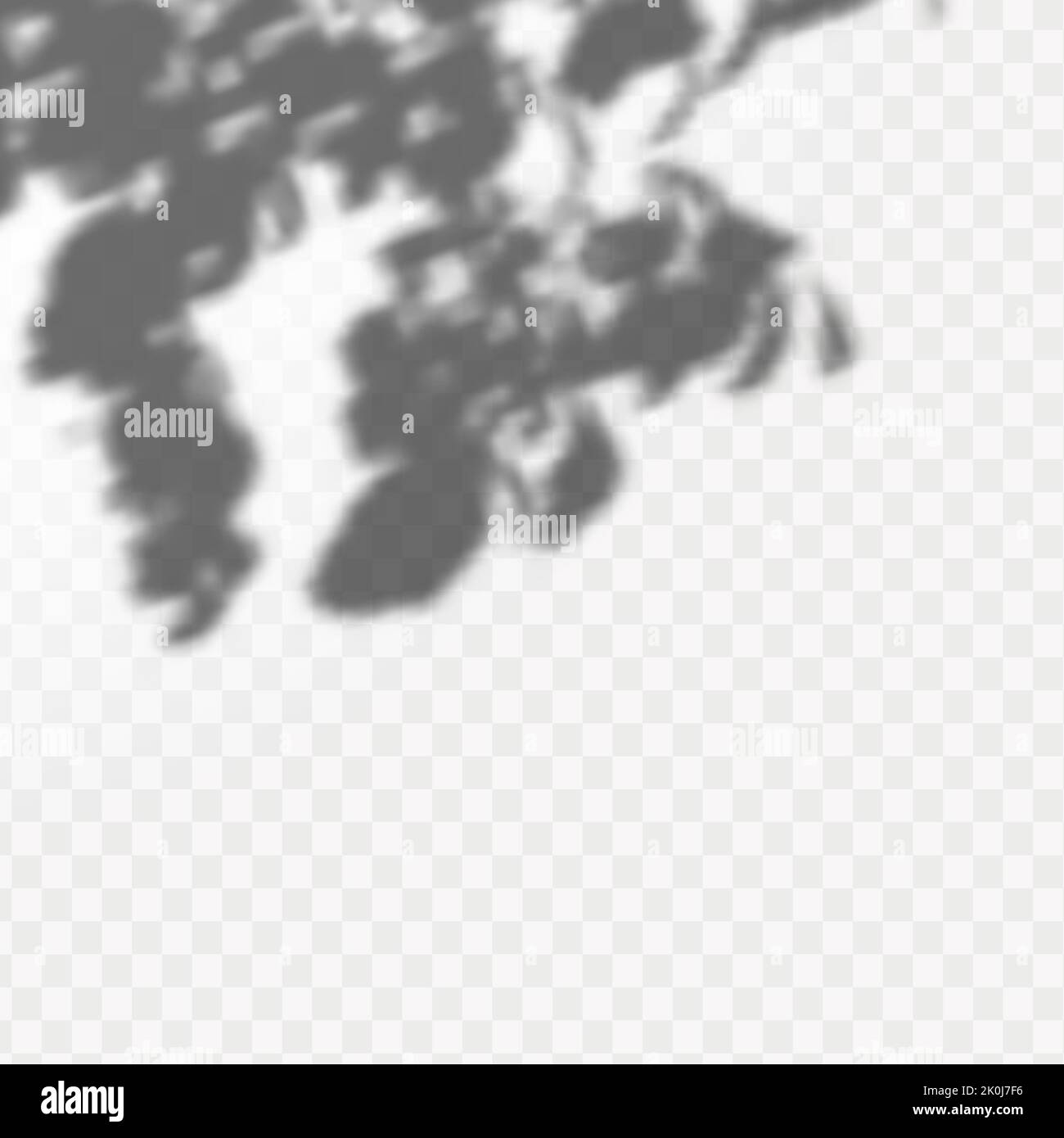 The effect of overlaying shadows. Natural light layout.Realistic shadow ...