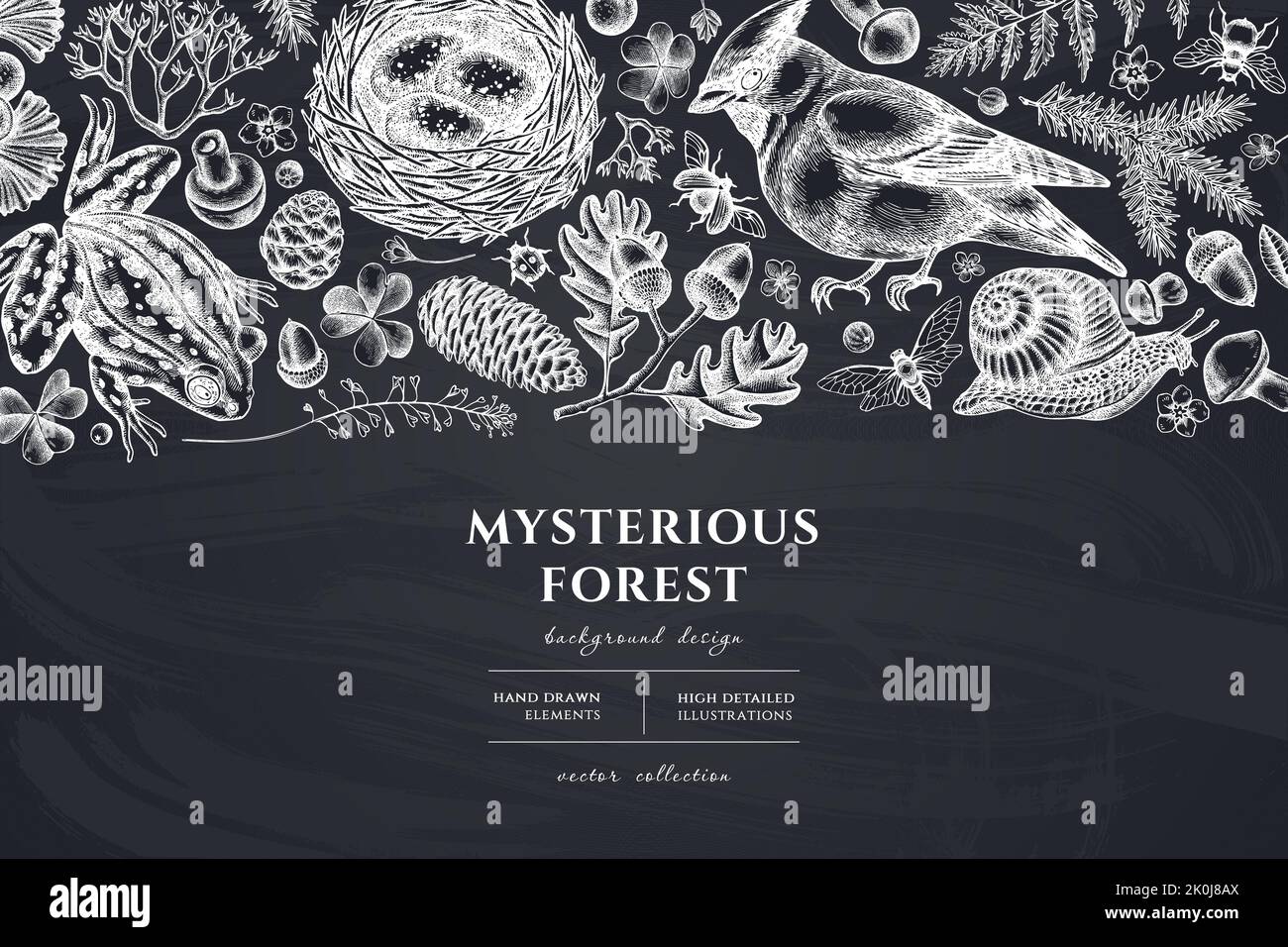 Mysterious forest hand drawn illustration design. Background with chalk ...