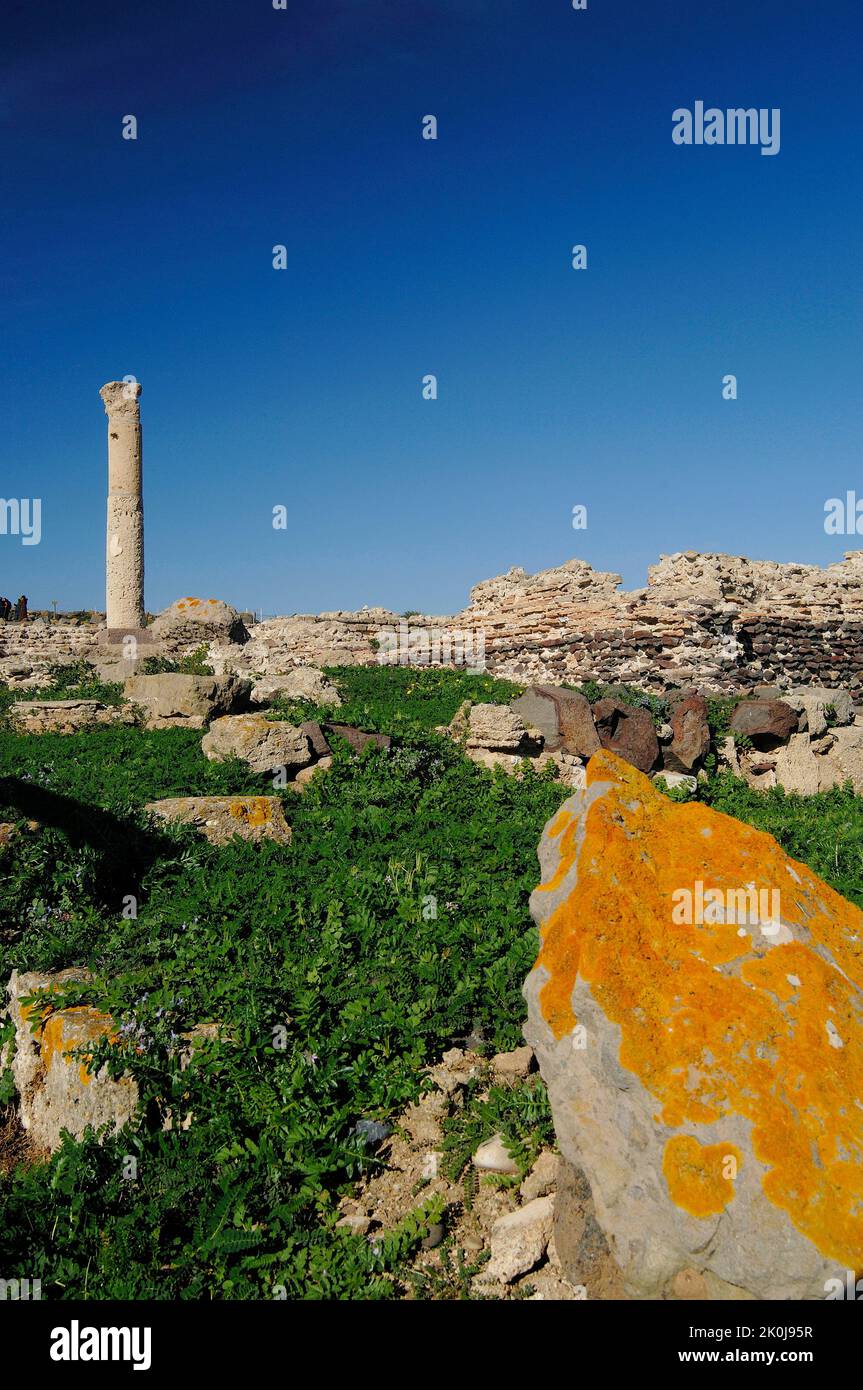 Nora Roman ruins, Pula, Sardinia, Italy Stock Photo - Alamy