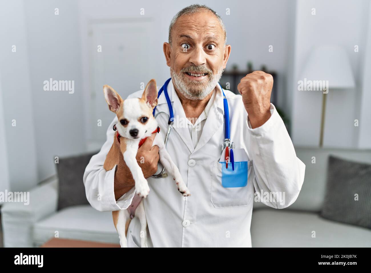 Veterinary triumph hi-res stock photography and images - Alamy