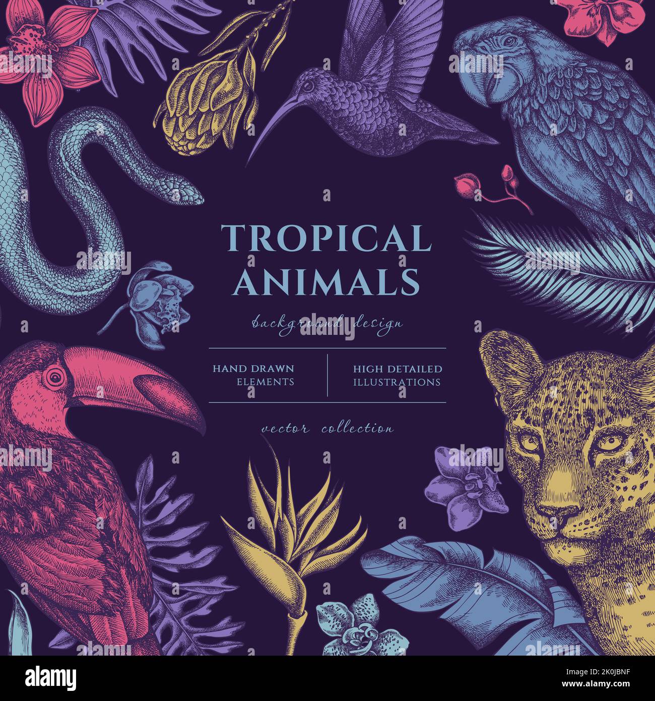 Tropical animals hand drawn illustration design. Background with ...