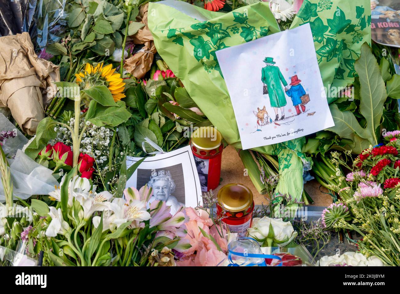 Beileidsbekundungen zum Tod von Königin Elizabeth II der Queen am 08.09 ...