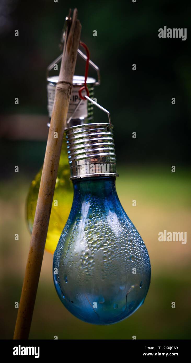 A vertical closeup of wet blue and yellow light bulbs hanging on thin ...