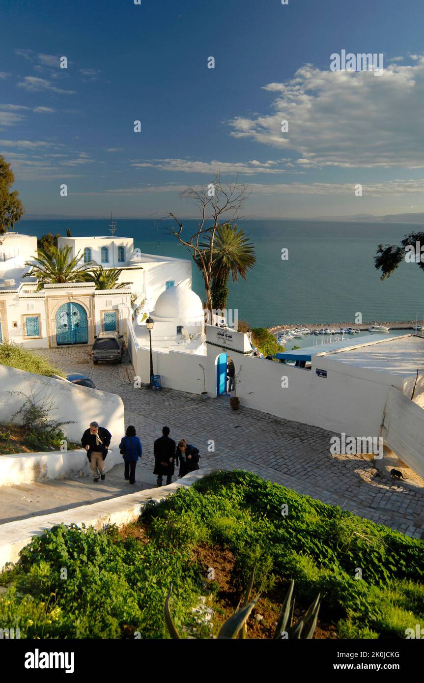 Foreshortening, Sidi Bou Said, Tunisia, North Africa, Africa Stock ...