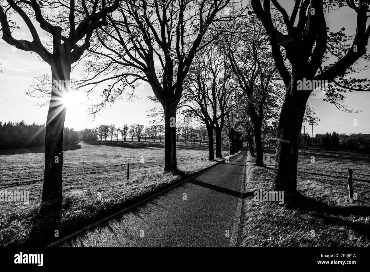 Narrow rural asphalt road in autumn time Stock Photo - Alamy