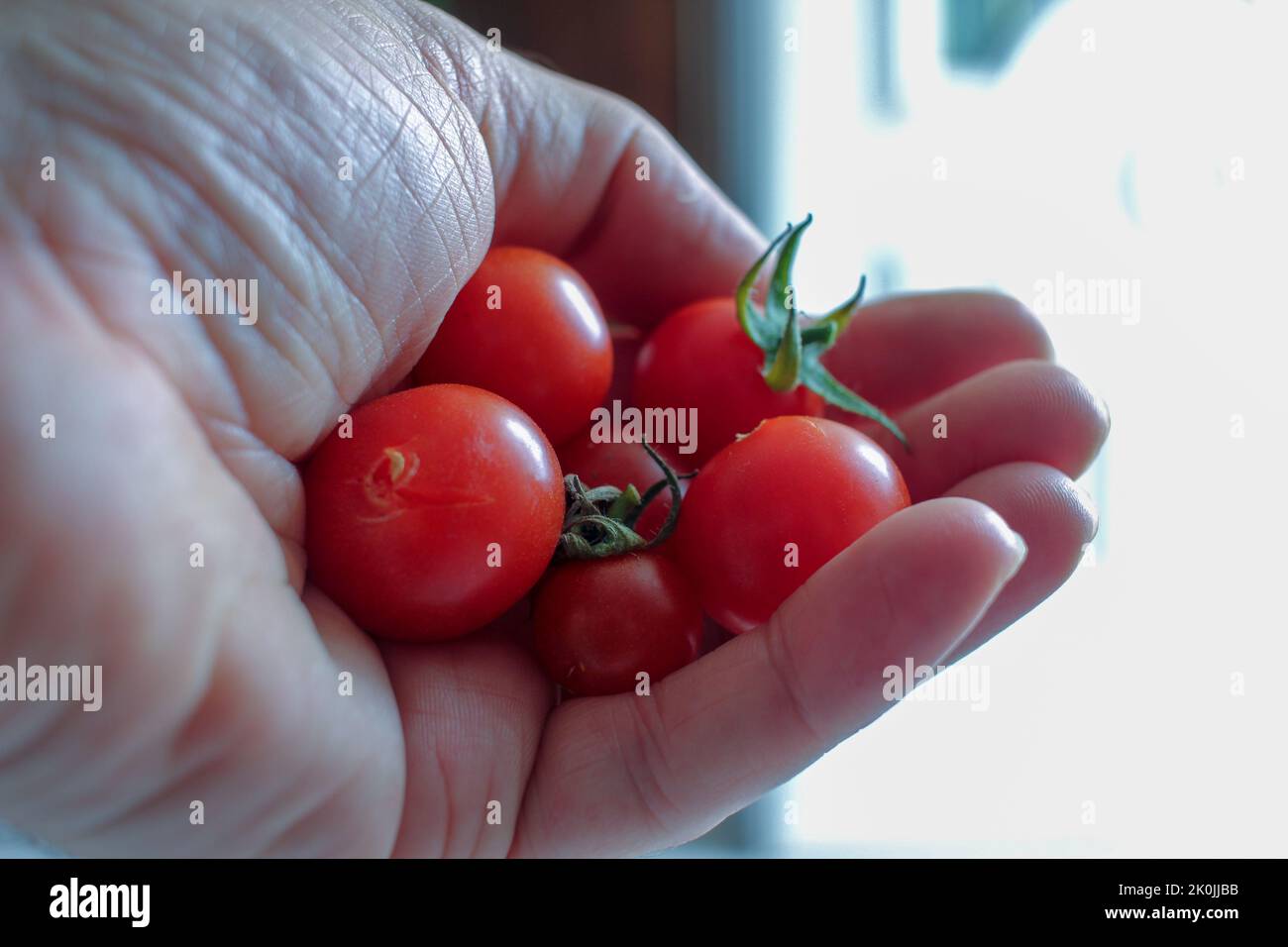 organic cherry tomatoes in my left hand Stock Photo - Alamy