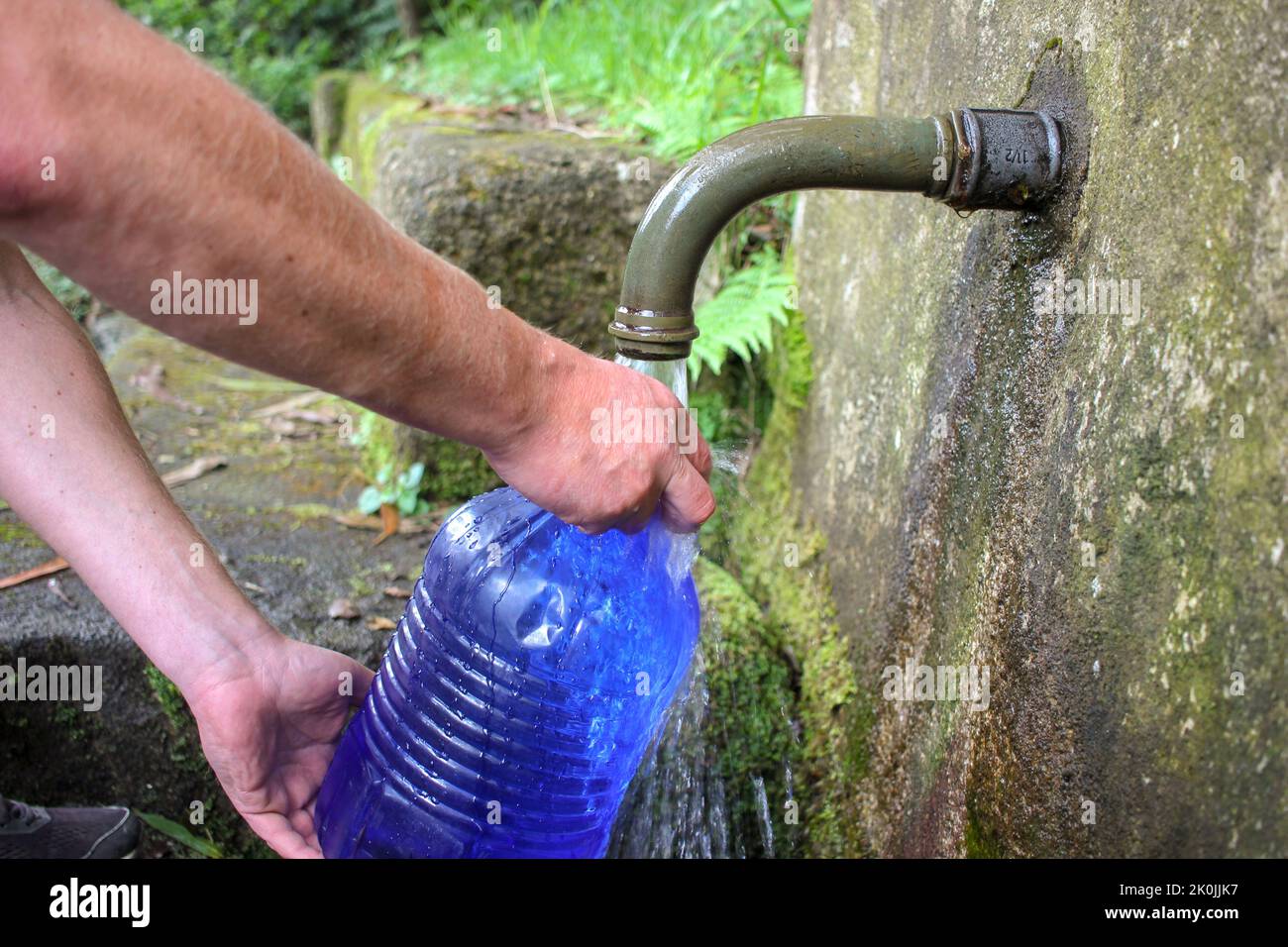 catching water from a fountain in the middle of nature Stock Photo - Alamy