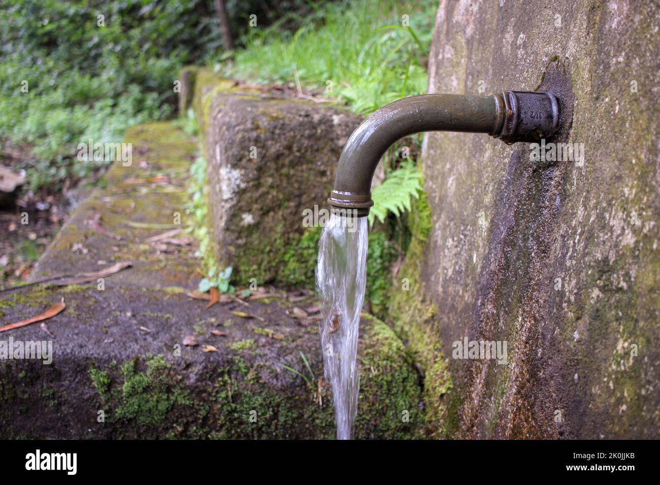 water coming out of a tap into a fountain in the middle of nature Stock ...