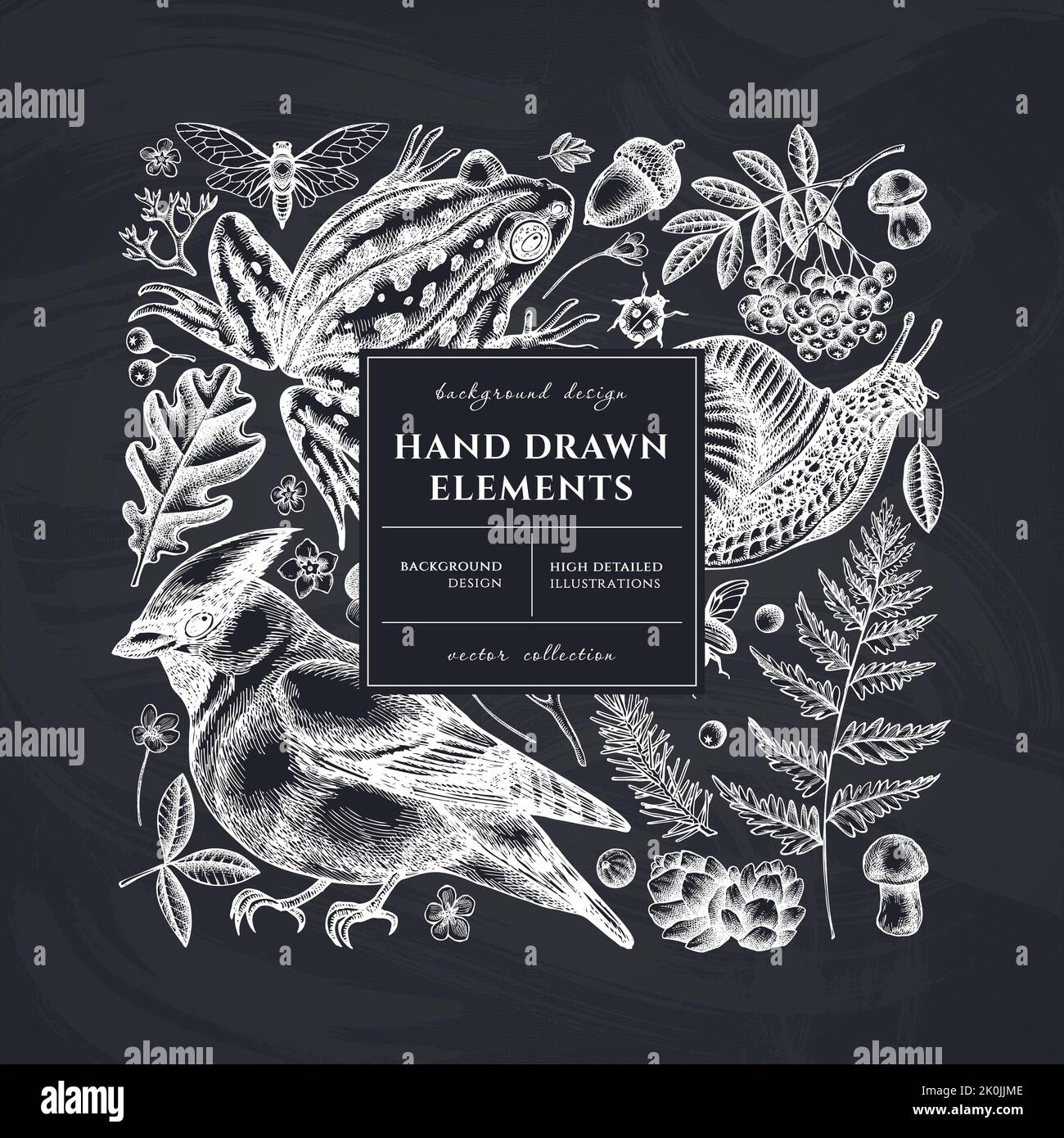 Mysterious forest square card or invitation design. Frame design with ...