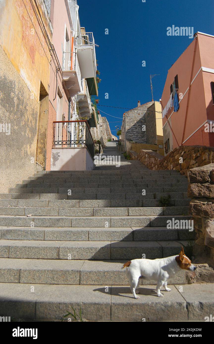 Village view, Carloforte, San Pietro Island, Sardinia, Italy Stock ...