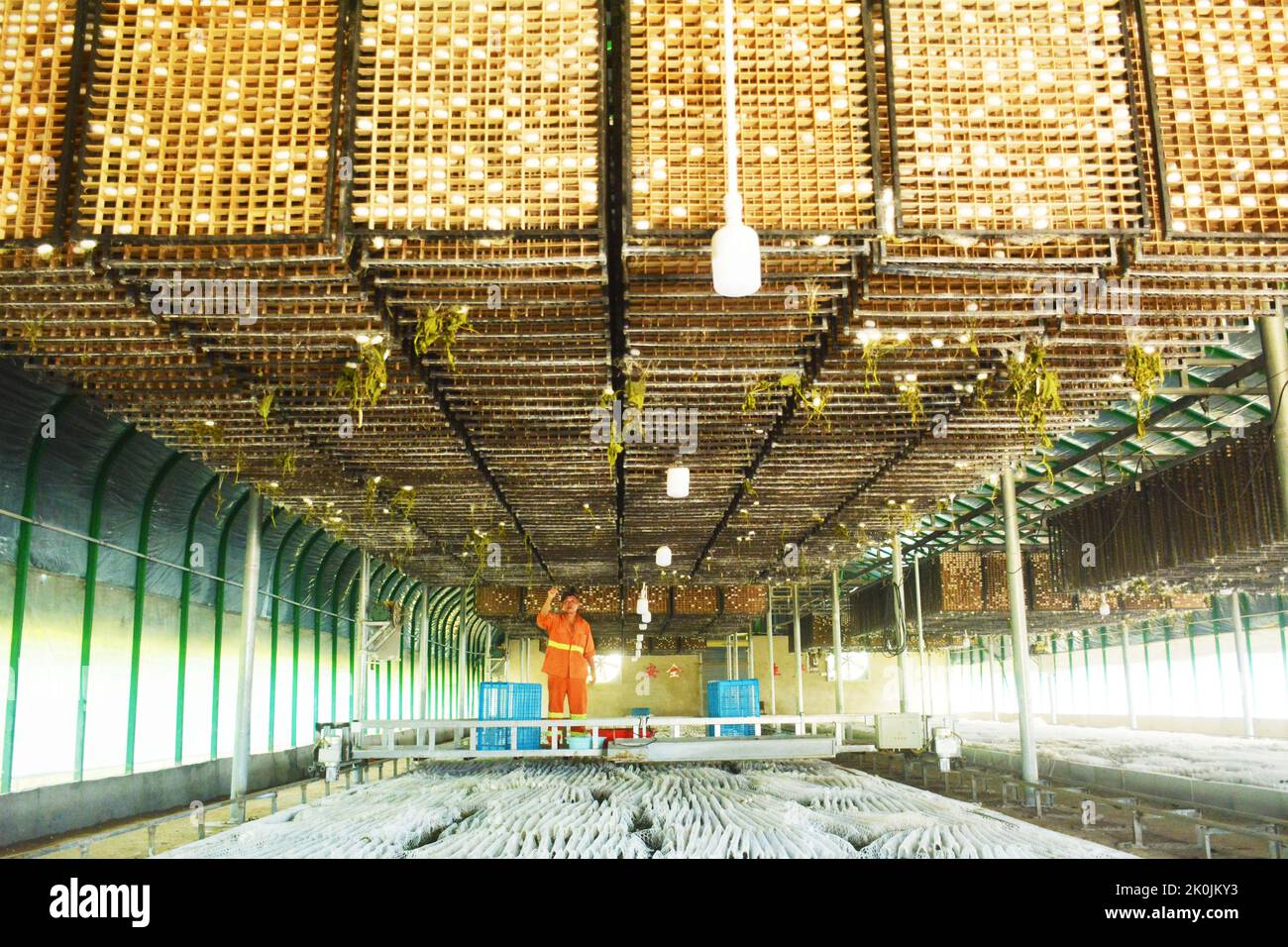 ANQING, CHINA - SEPTEMBER 12, 2022 - A villager cleans sundries in a ...