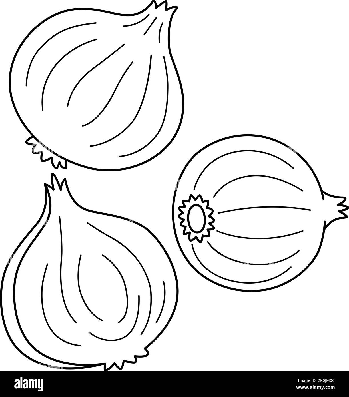 Onion Vegetable Isolated Coloring Page for Kids Stock Vector Image ...