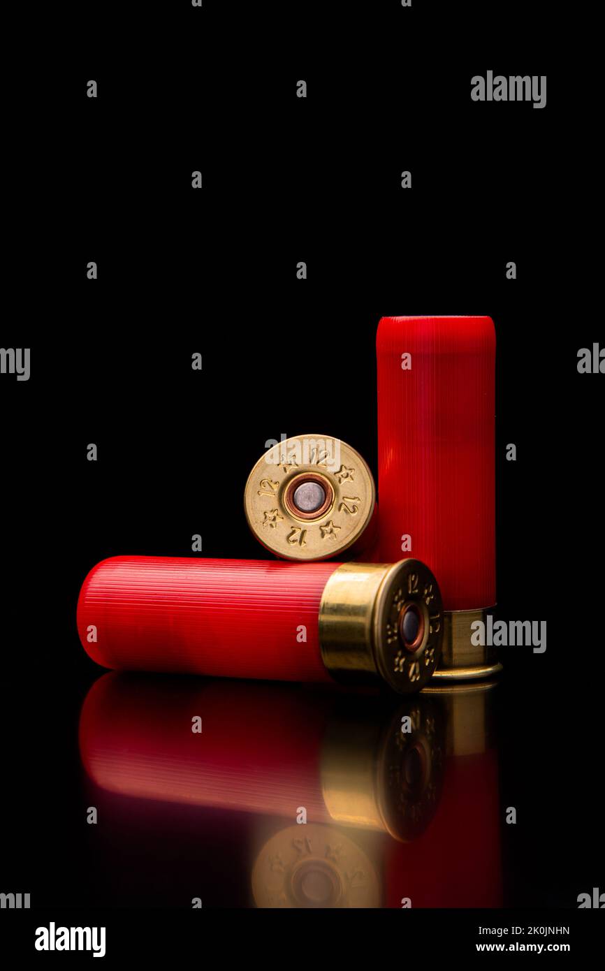 Shotgun shells on a black reflective surface. Ammunition for 12 gauge ...