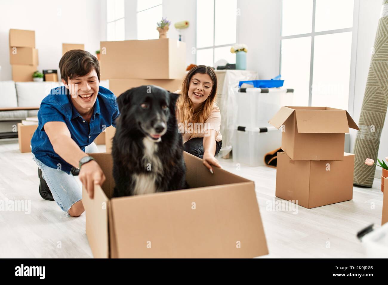 Young caucasian couple smiling happy transporting dog into cardboard ...