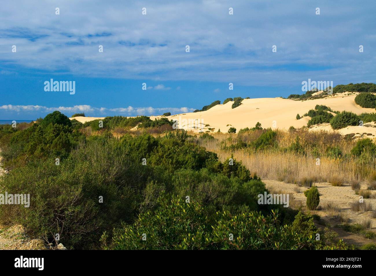 Dunes, Piscinas, Arbus, Medio Campidano, Sardinia, Italy Stock Photo ...