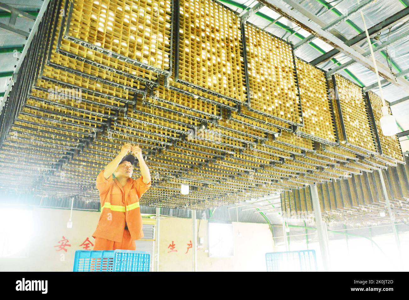 ANQING, CHINA - SEPTEMBER 12, 2022 - A villager cleans sundries in a ...