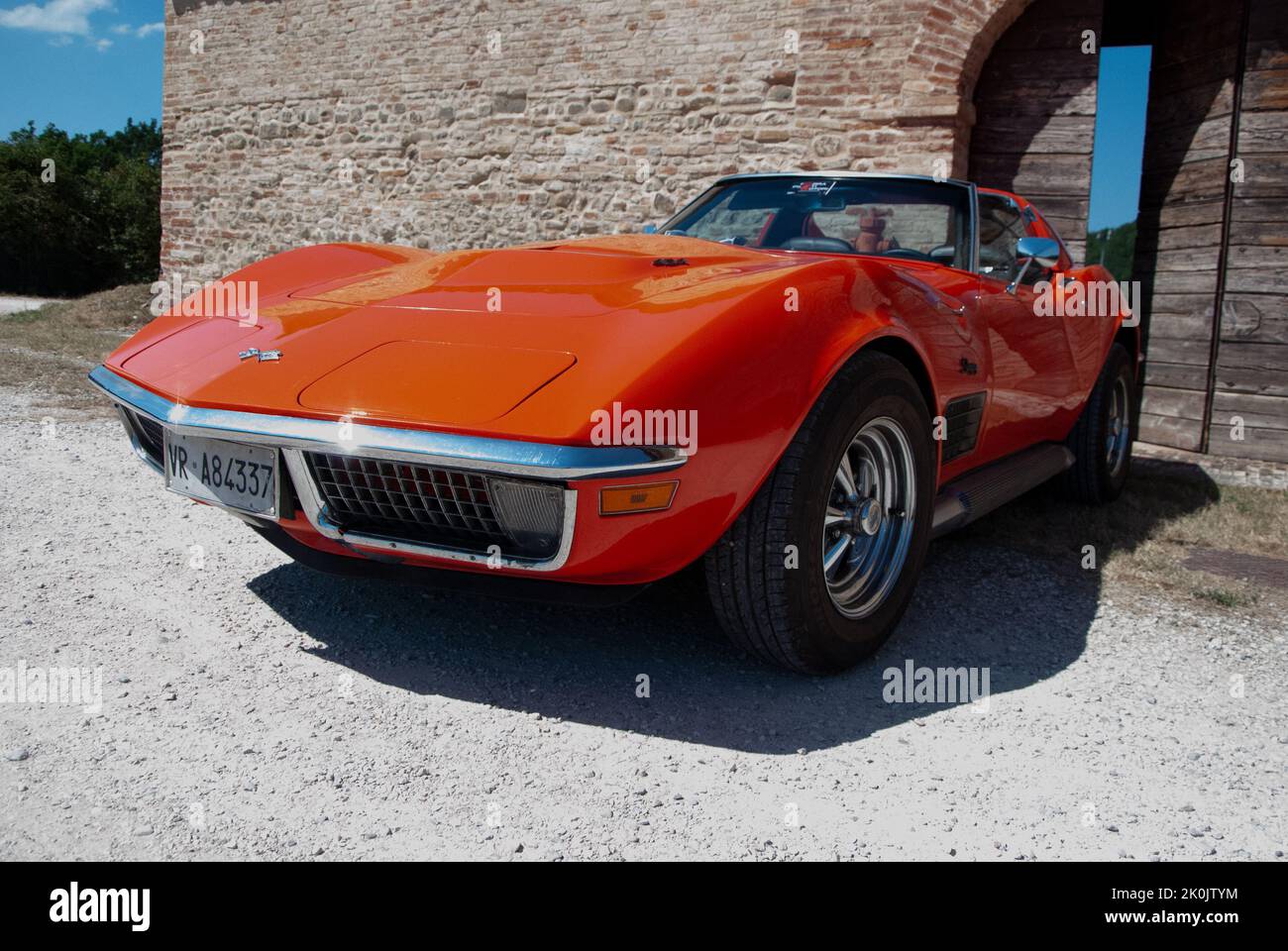 Mako Shark Corvette 2022