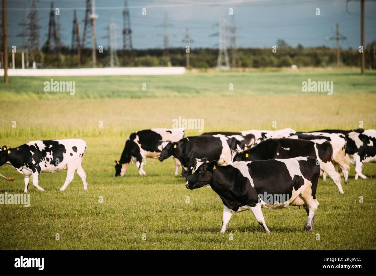 1930s ussr hi-res stock photography and images - Alamy