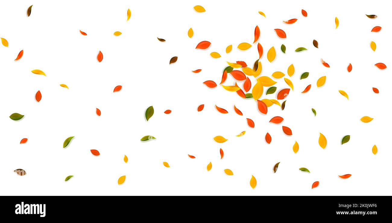 Falling autumn leaves. Red, yellow, green, brown chaotic leaves flying. Explosion colorful ...