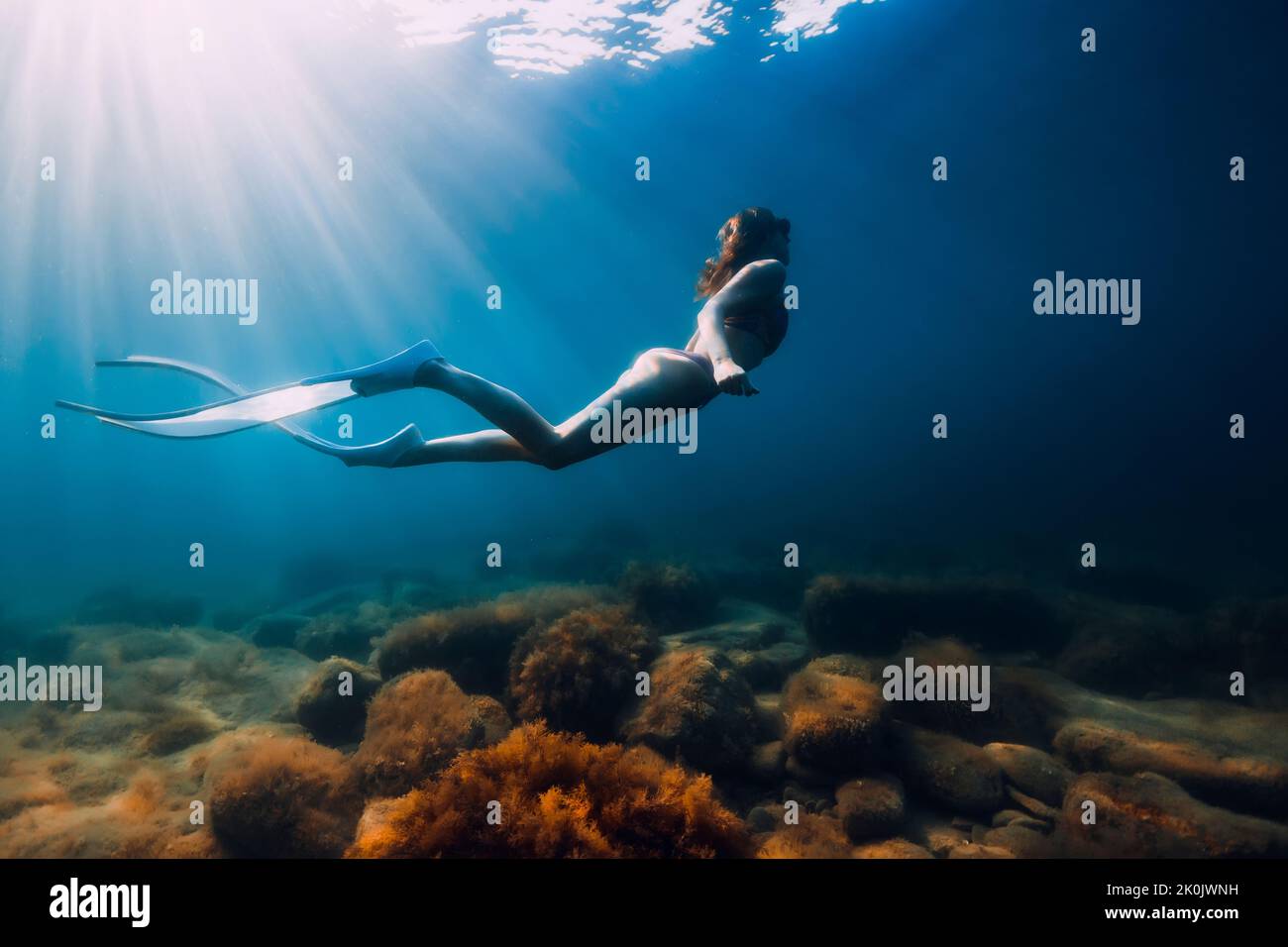Freedive and cancun hi-res stock photography and images - Alamy