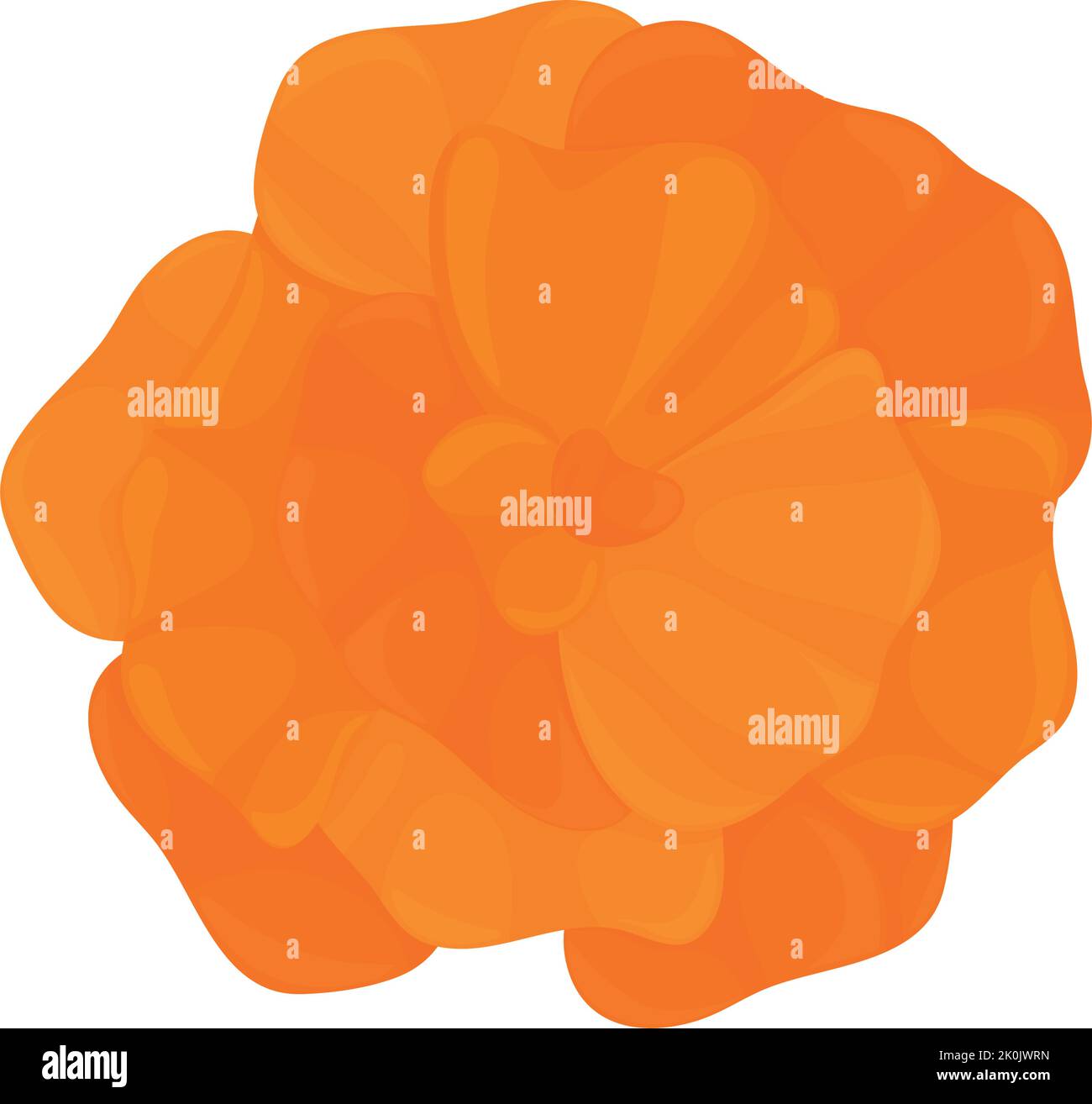 marigold flower icon Stock Vector Image & Art - Alamy