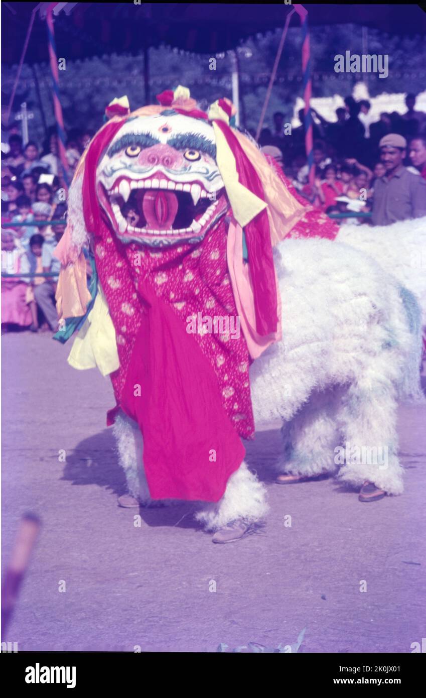 Snow Lion Dance, Tibet Stock Photo - Alamy