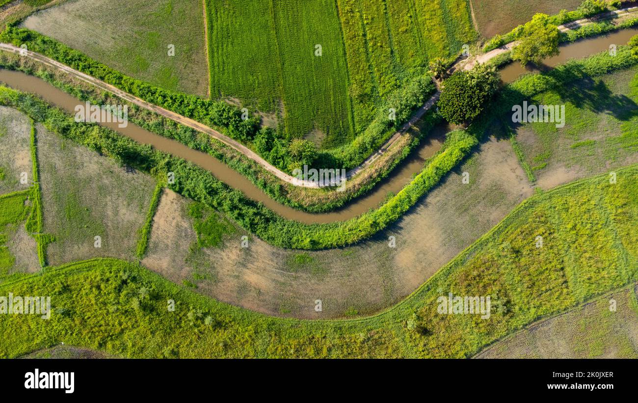 Aerial view of green wavy field in sunny day. Beautiful green area of ...