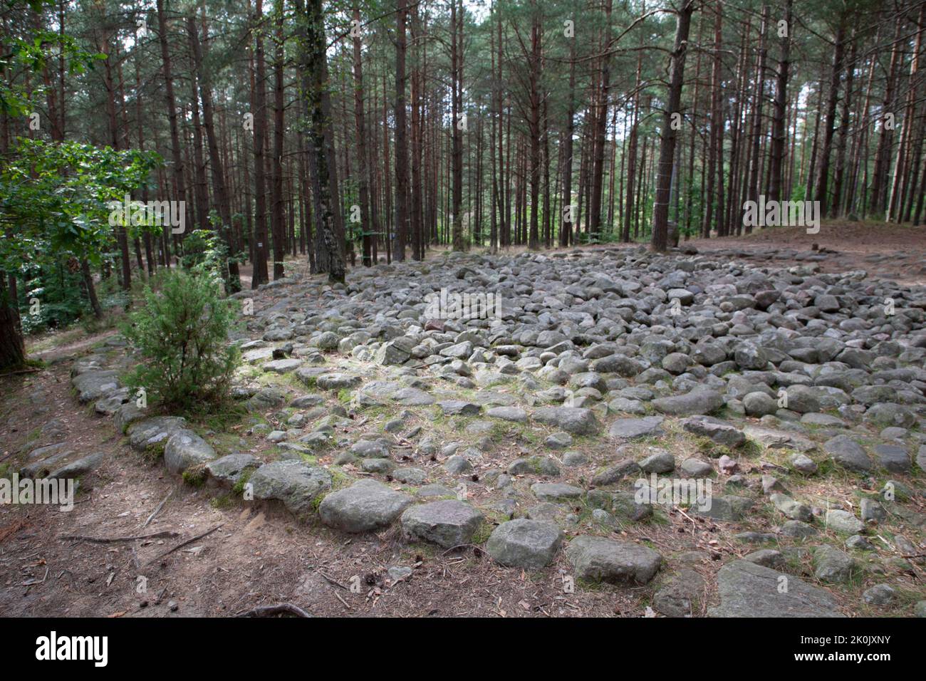 Megalithic Stone circles in Węsiory Poland - Kamienne kręgi Węsiory ...