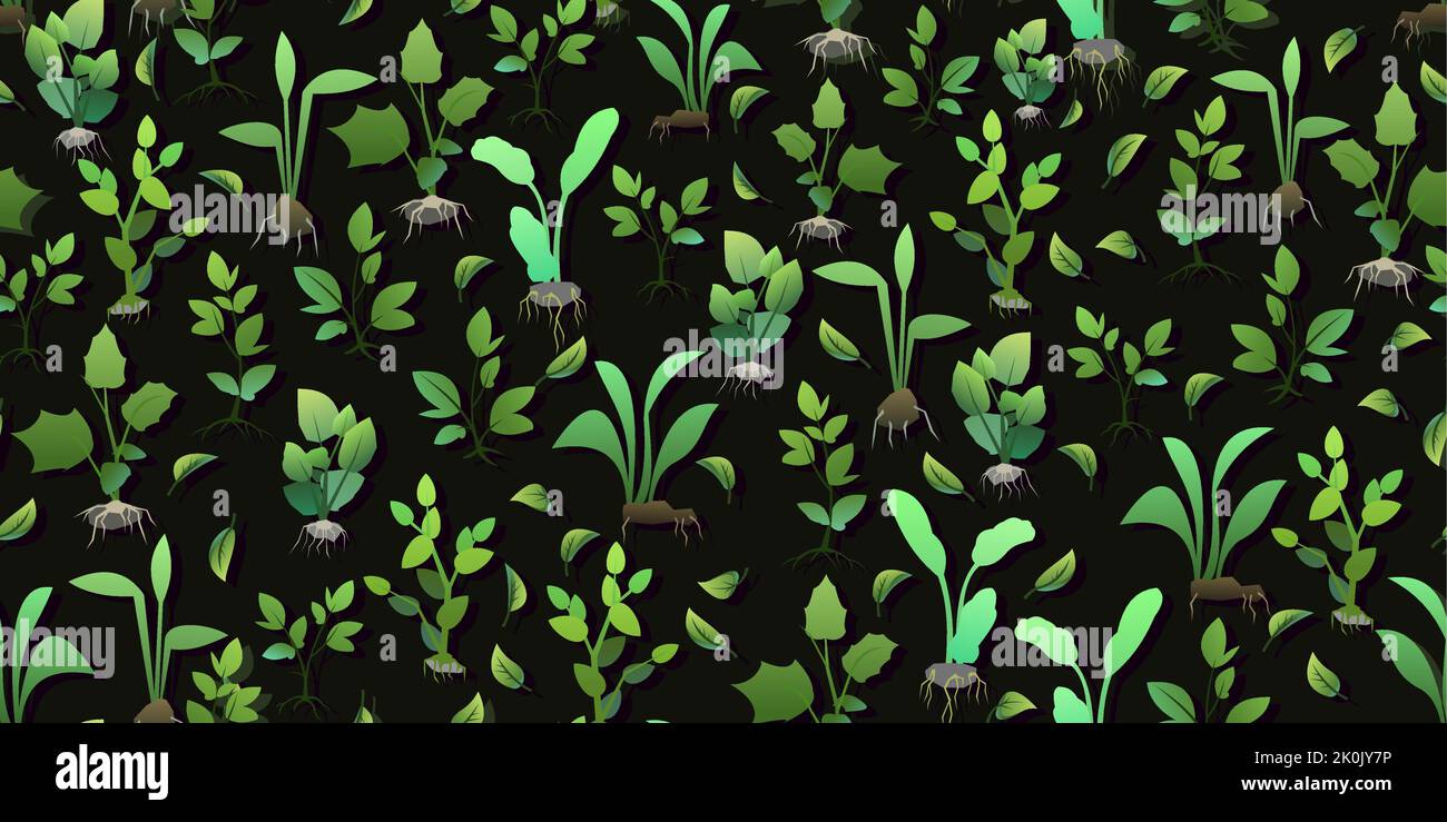 Seedling garden plants with roots. Sowing agricultural material ...