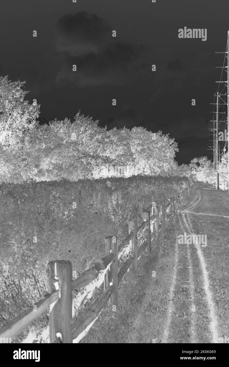 A typical standard wooden fence crossing the overgrown summer pasture ...