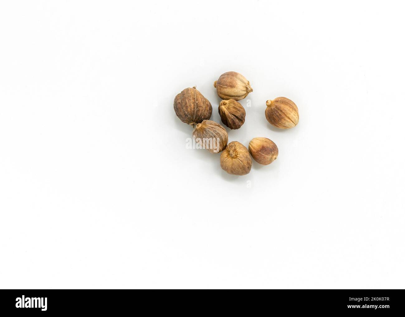 Close-up and top view image of dried Cardamon on white background, a ...