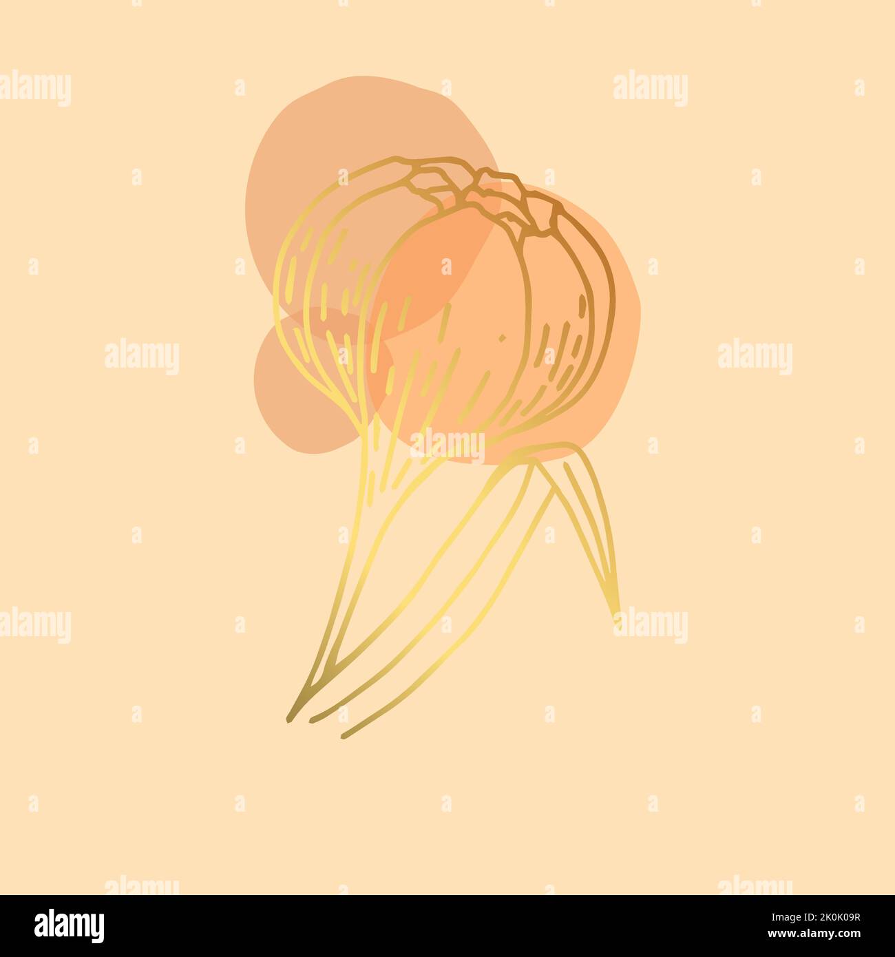 Hand-drawn tulip with abstract spots. Golden element on beige ...