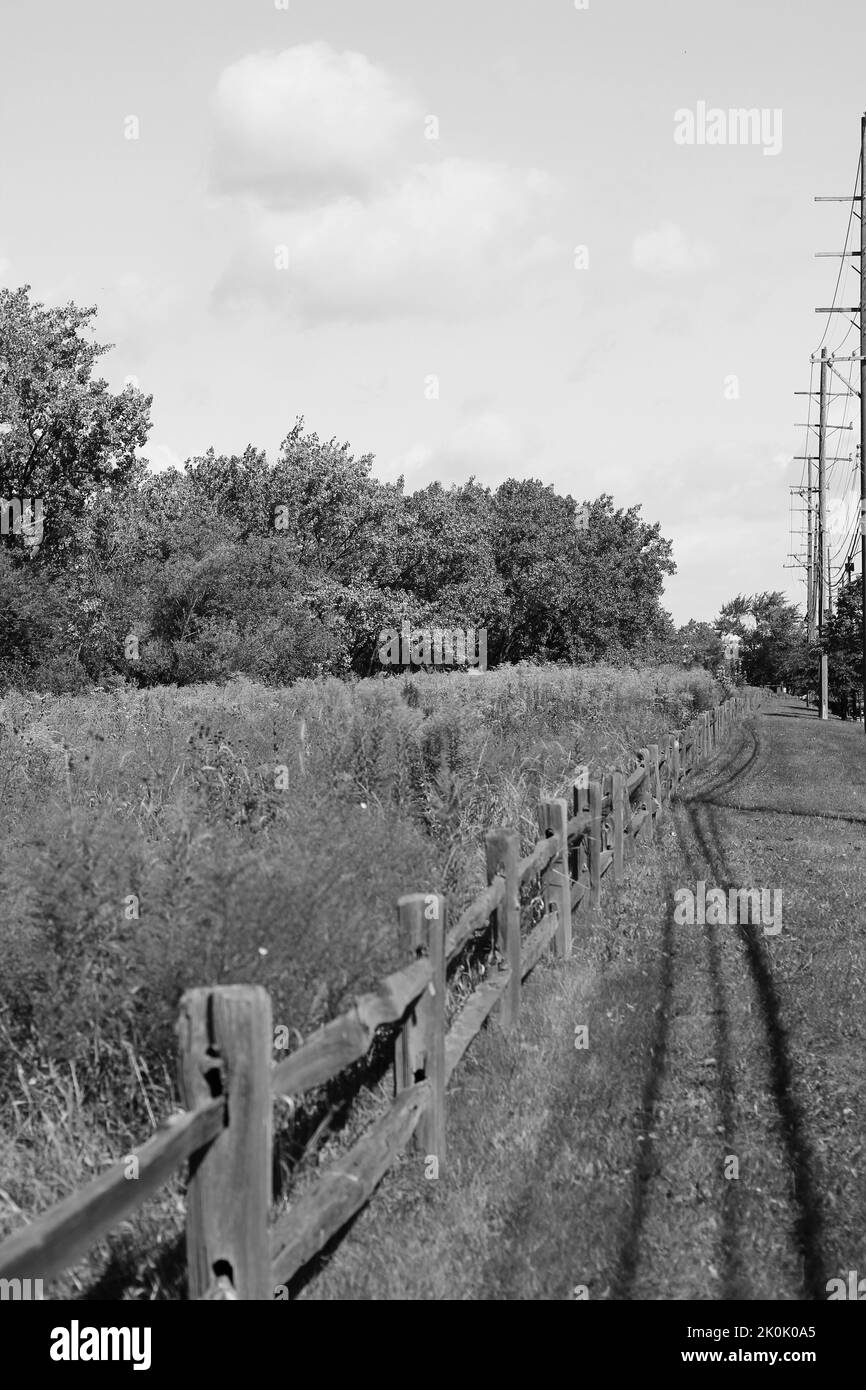 A typical standard wooden fence crossing the overgrown summer pasture ...